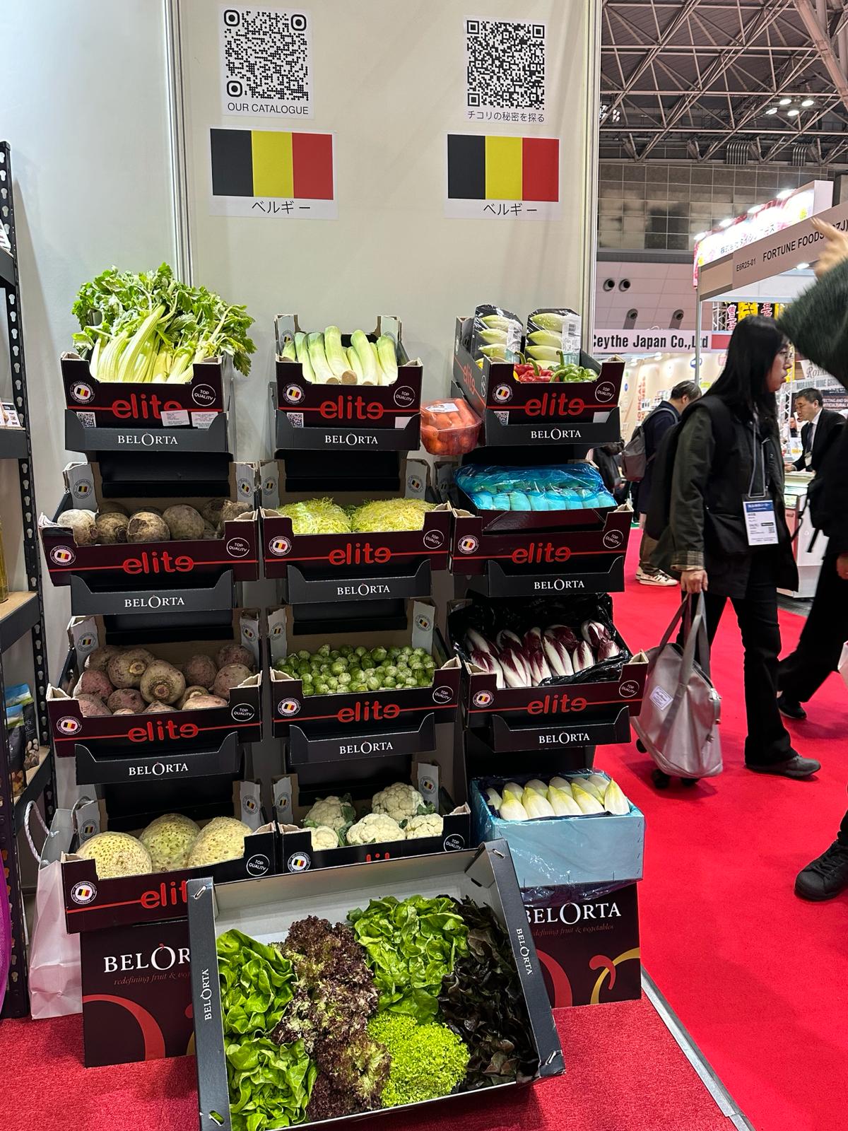 Sourcing partner for European produce – Elite Fresh Trade – Your one ...